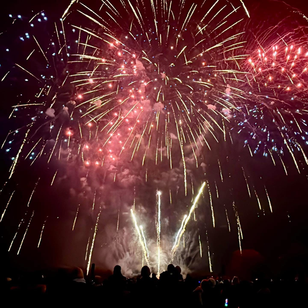 Epsom Fireworks – Hook Road Arena – Ewell Green Belt